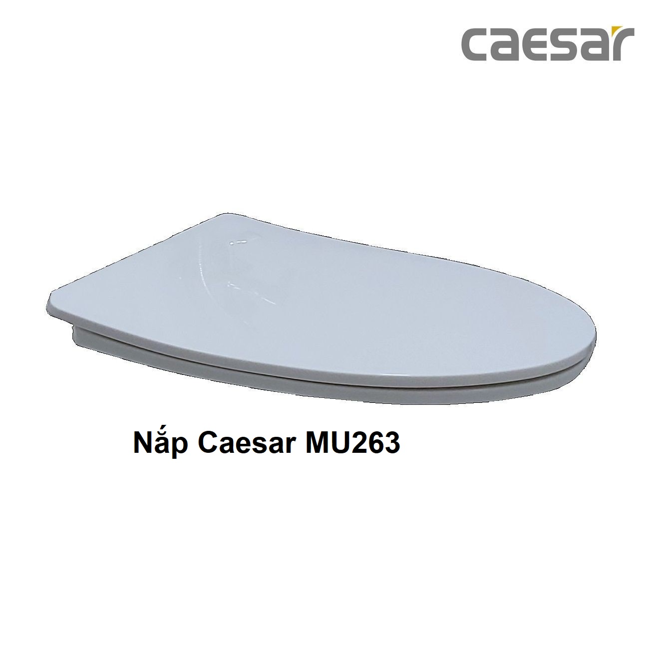 Tổng hợp các mẫu Nắp bồn cầu Caesar, Nắp bồn cầu Caesar, Nắp mỏng Caesar, Nắp rửa cơ, nắp điện ...